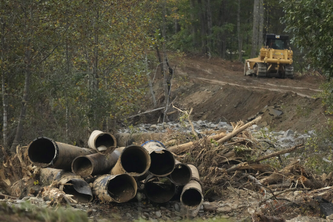 Hurricane Helene victims include young siblings killed by falling tree ...